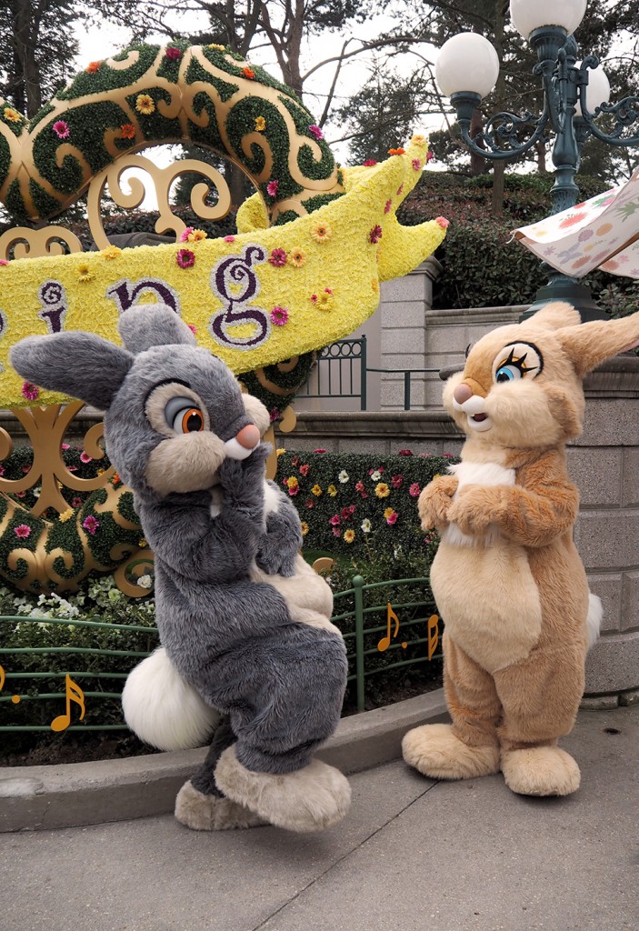 Spring in Disneyland ! | Hello it's Valentine